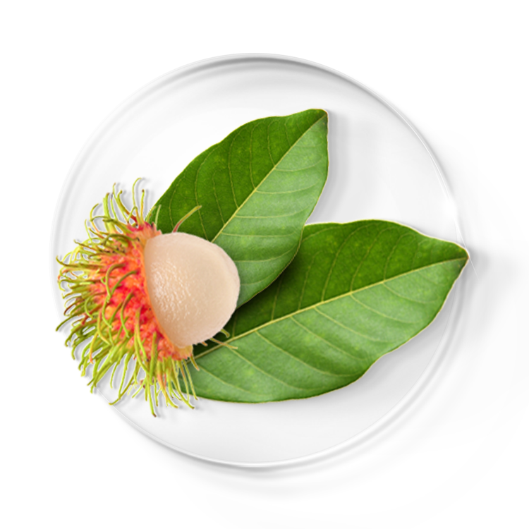 Lotus & Rambutan - Active Cell Extract + Vitamin B12 - Bio-Cellulose F ...